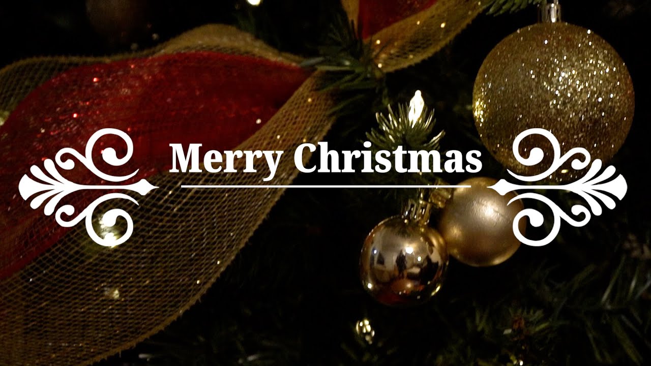 Christmas Message from Bishop David Toups 2023 - YouTube