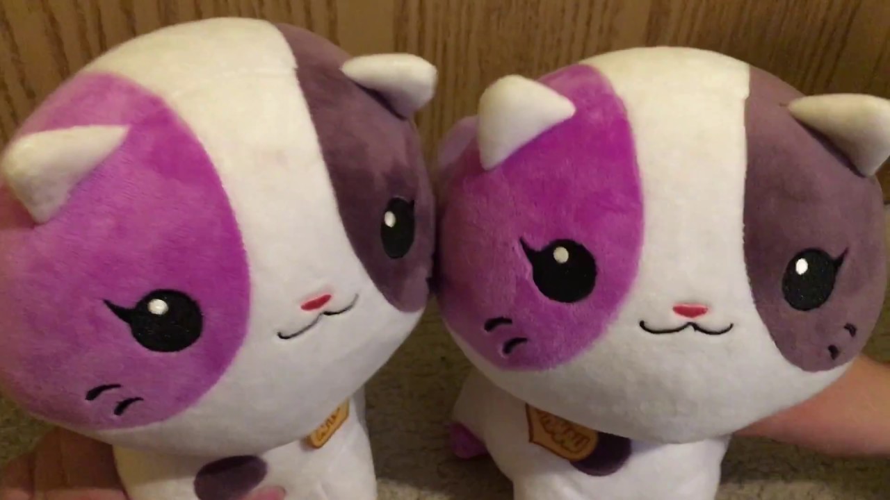 Taco and cat/the first video - YouTube