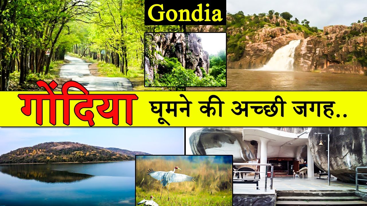 Gondia