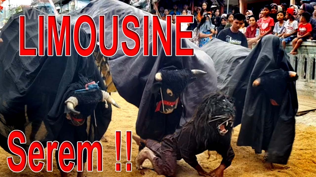 BANTENGAN LIMOUSIN GARUDA SAKTI KALAP SEREM - PENONTON AUTO KETAR KETIR ...
