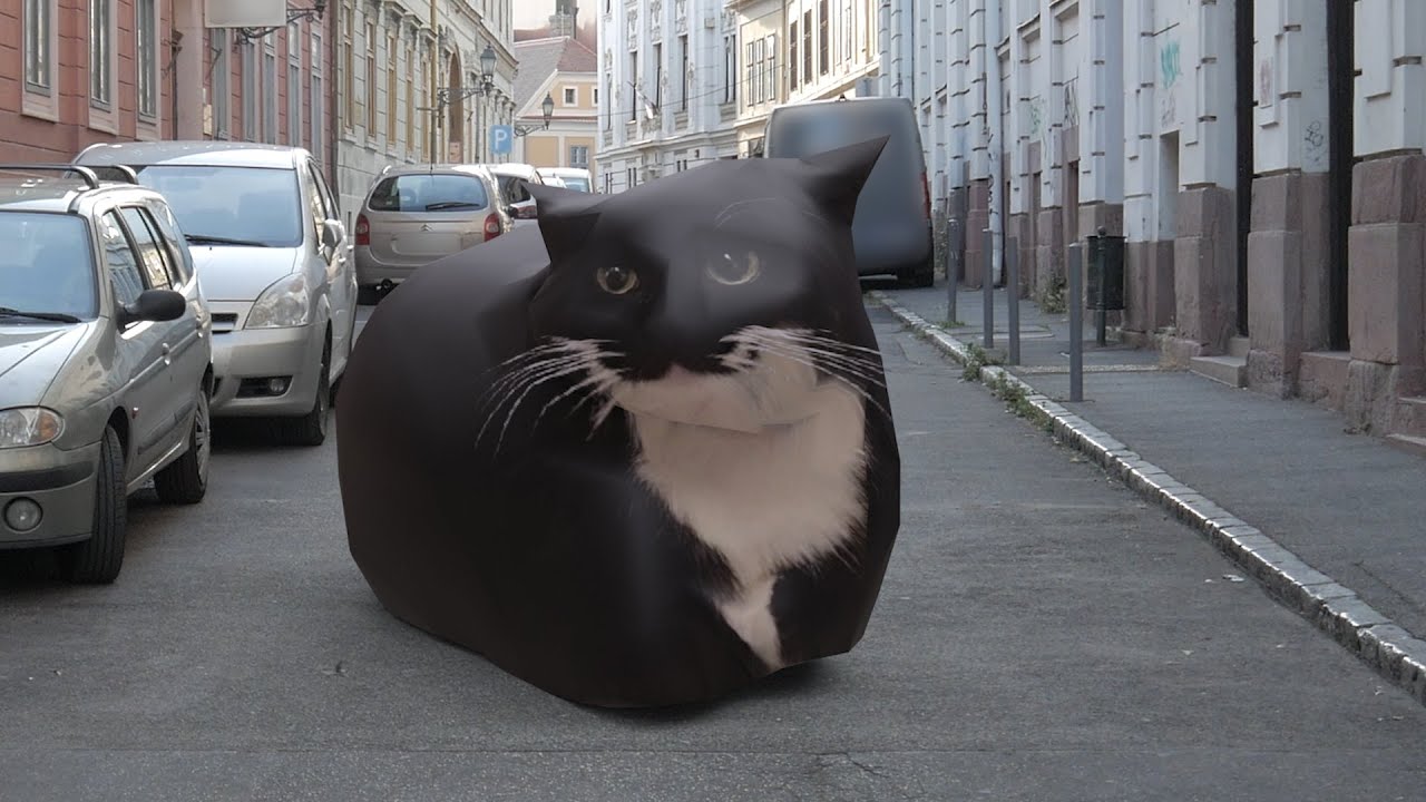 Finding Maxwell in Real Life 4K episode 2 - YouTube