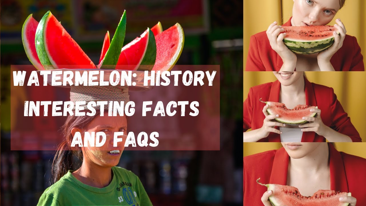 Watermelon History Interesting Facts and FAQs | Wild melon | Watermelon ...