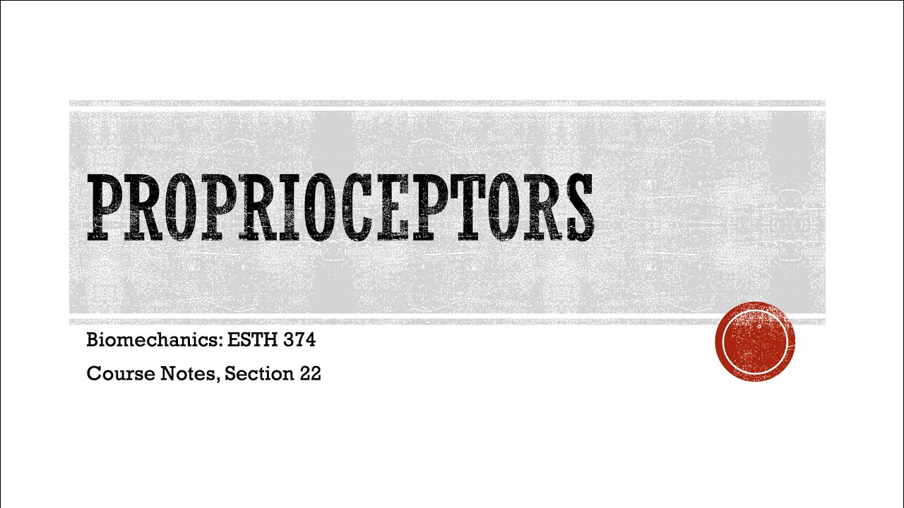 Proprioceptors - YouTube