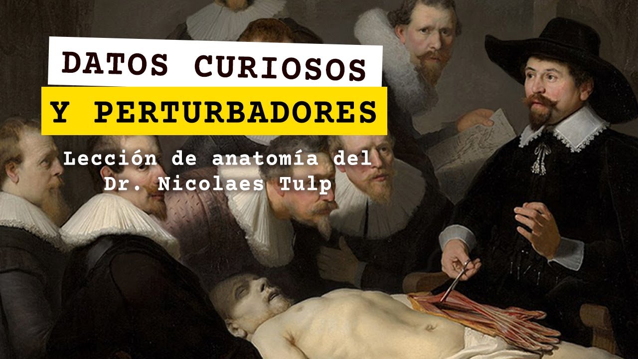 Datos curiosos y perturbadores de "Lección de anatomía del Dr. Nicolaes ...