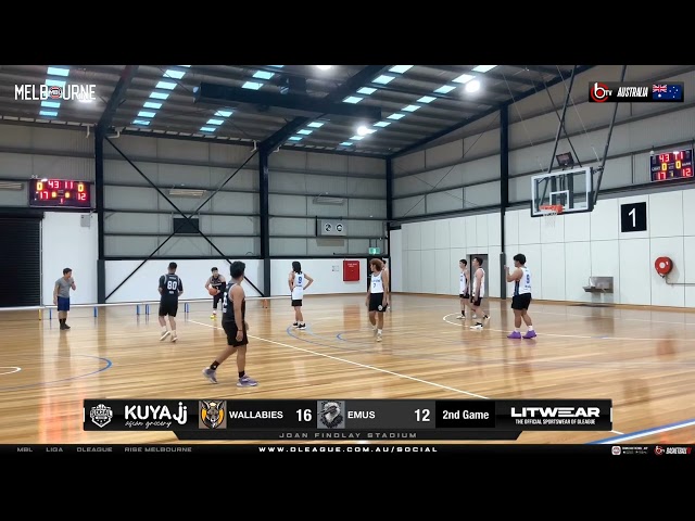 Social Basketball League - DLeague Australia - DLeague Australia Basketball