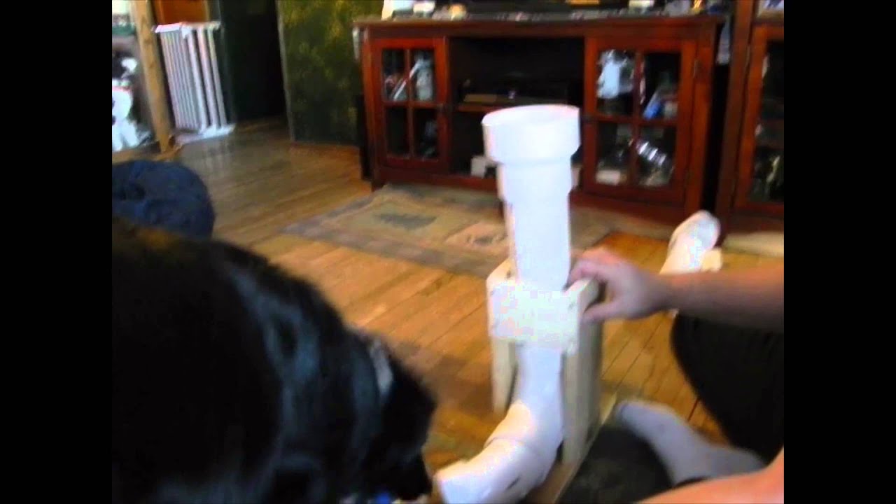 How to exercise a Border Collie's demons - YouTube