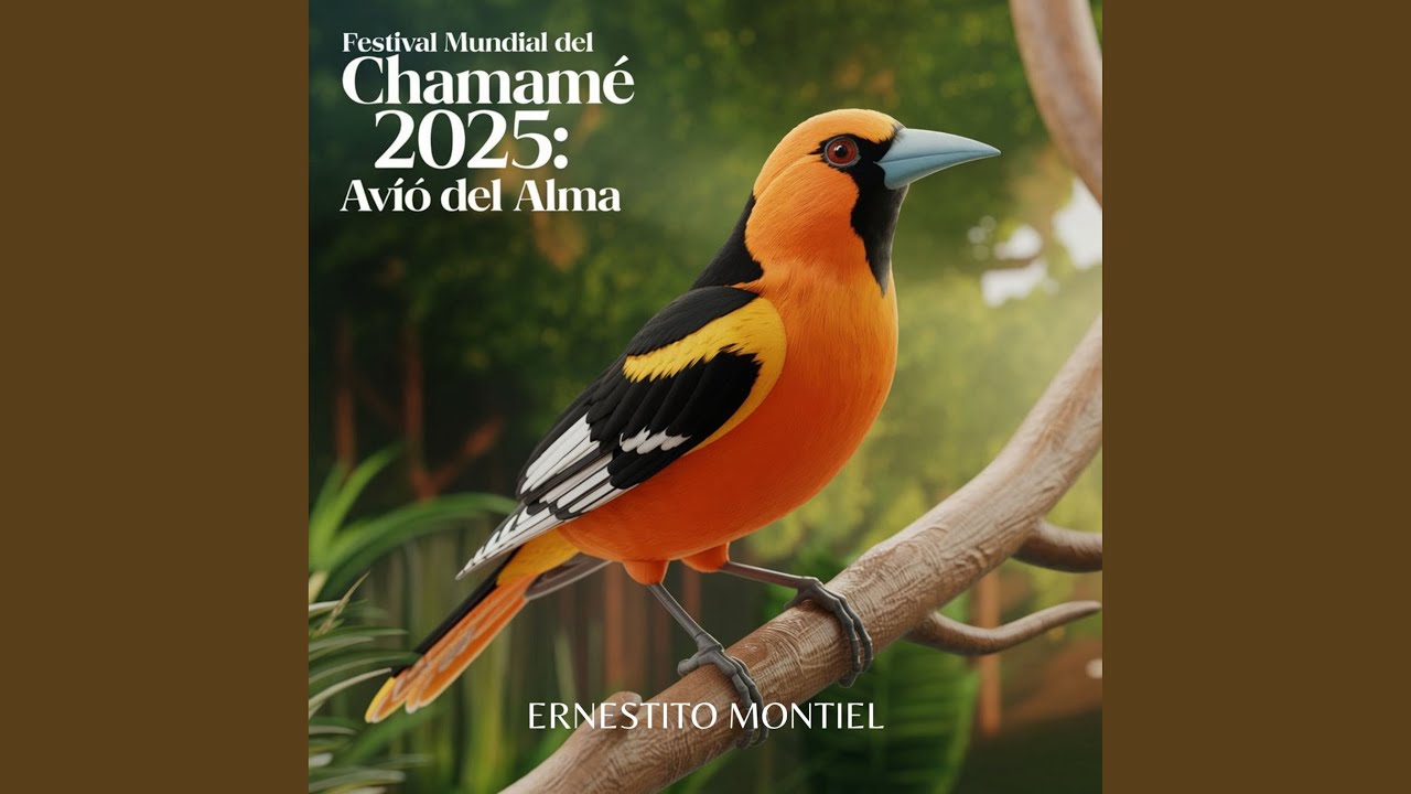 Soy Forastero (En vivo) - YouTube