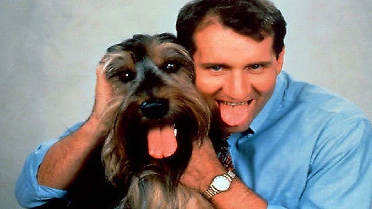 Hunderasse Briard, Buck, der Hund aus eine schrecklich nette Familie ...