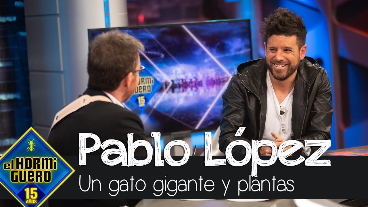 Pablo López presenta a su gato gigante y el misterio de los nombres de ...