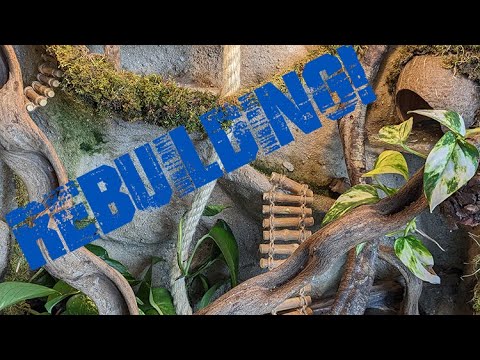 Best rebuilding a terrarium 2023 with chill music - YouTube