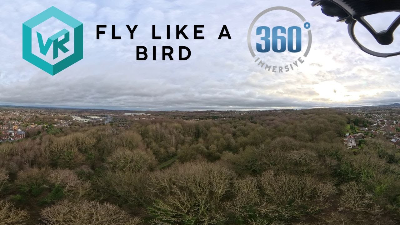 Fly like a bird 360⁰ VR immersive view #360video - YouTube