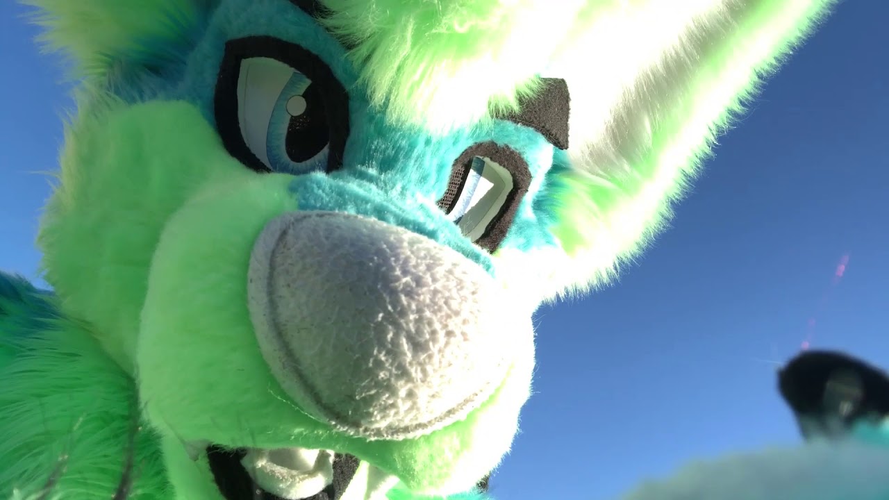 Painted Desert Fur Con 2020 uhh...vlog? idk - YouTube