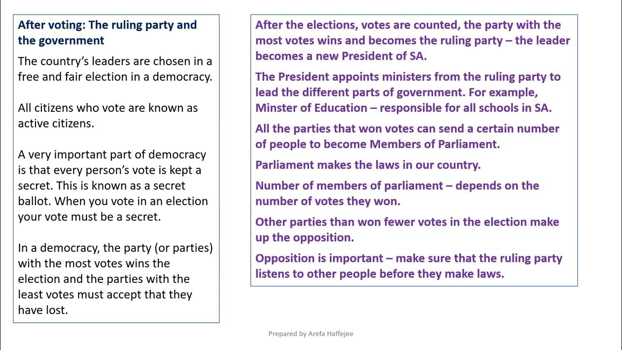 Democracy and Citizenship Grade 6 Term 3 - YouTube