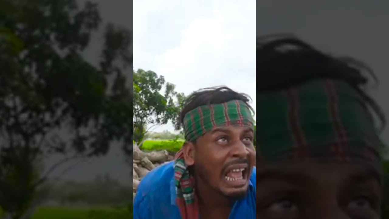 Totally Amazing New Funny Video 😂 Top Comedy Video 2022 Episode 177 By ...