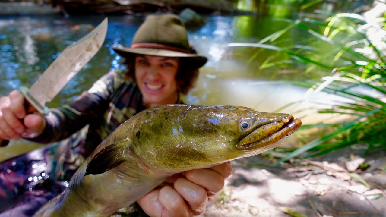 OVERNIGHT Hut BUILD in RAINFOREST! EEL Catch n Cook VENOMOUS Snakes of ...
