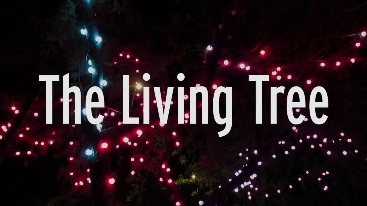 The Living Tree - YouTube