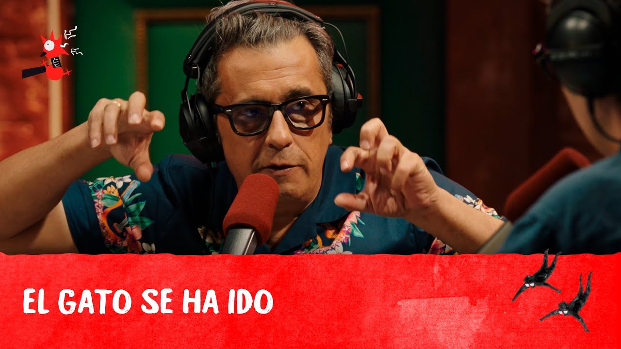 El gato se ha ido | @NadieSabeNada - YouTube