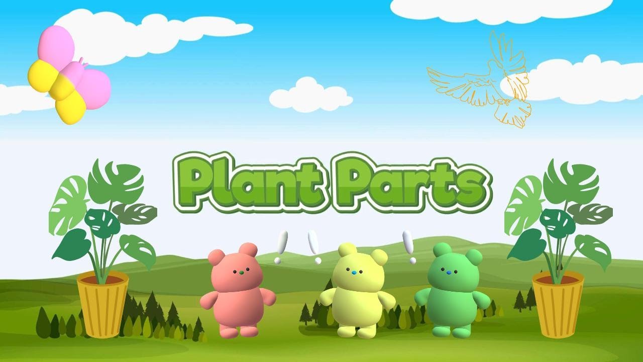 Part of a Plants in English | @JOLLYJUMPJUNIOR Discovering Plants ...