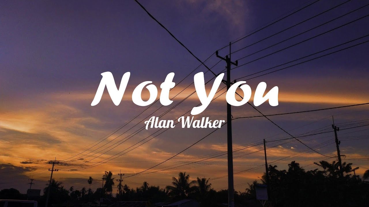 Not You - Alan Walker | Lyrics - YouTube