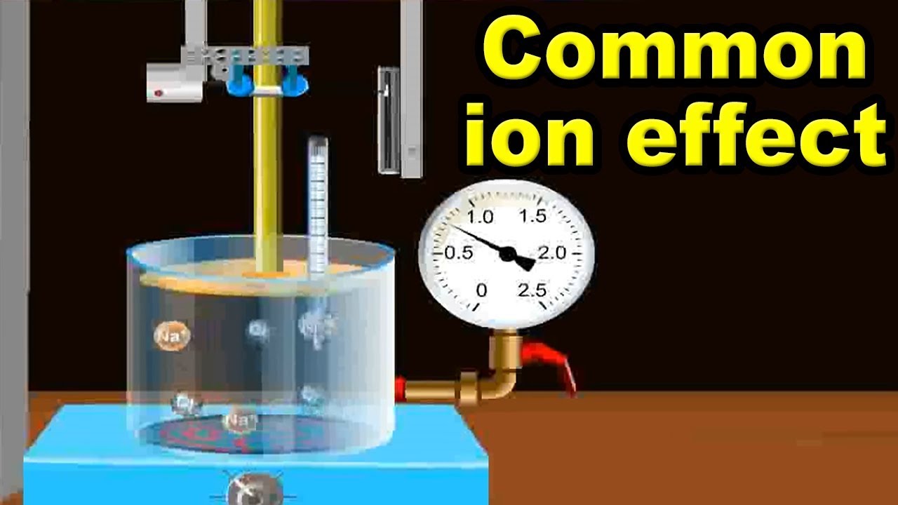 Common ion effect | 11th Std | Chemistry | Science | CBSE Board | Home ...