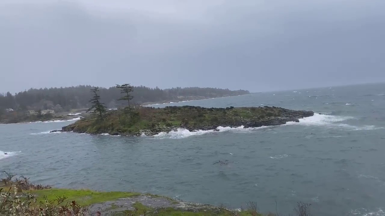 West coast winter weather! | Victoria BC | Realtor Jane Johnston - YouTube