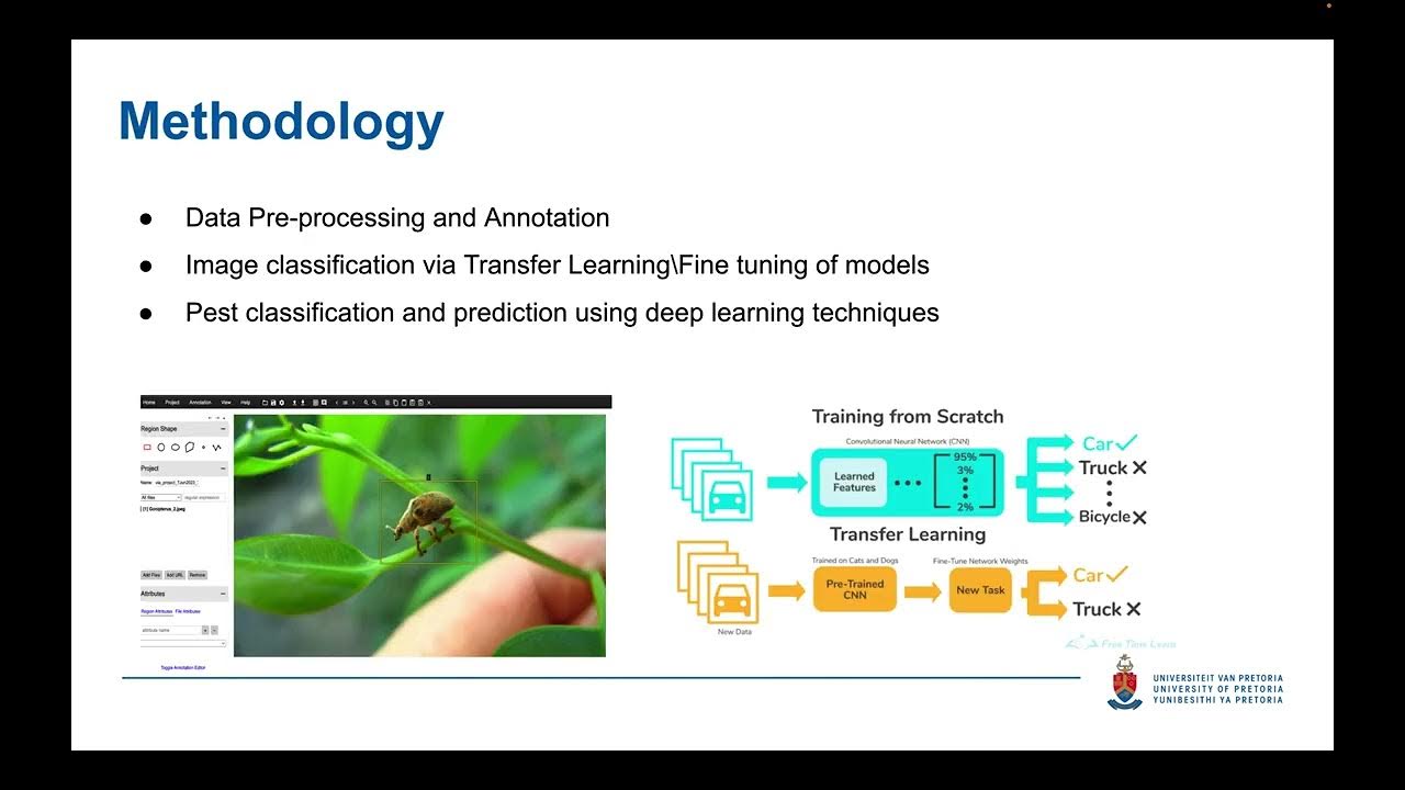 Mit808 2023 G9 Insect Pest Classification And Detection Using Deep Learning Techniques Youtube