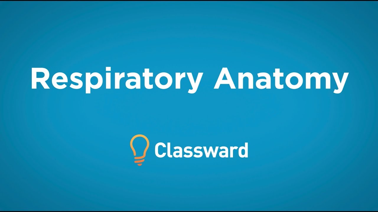 Respiratory Anatomy and Physiology Overview - EMTprep.com - YouTube