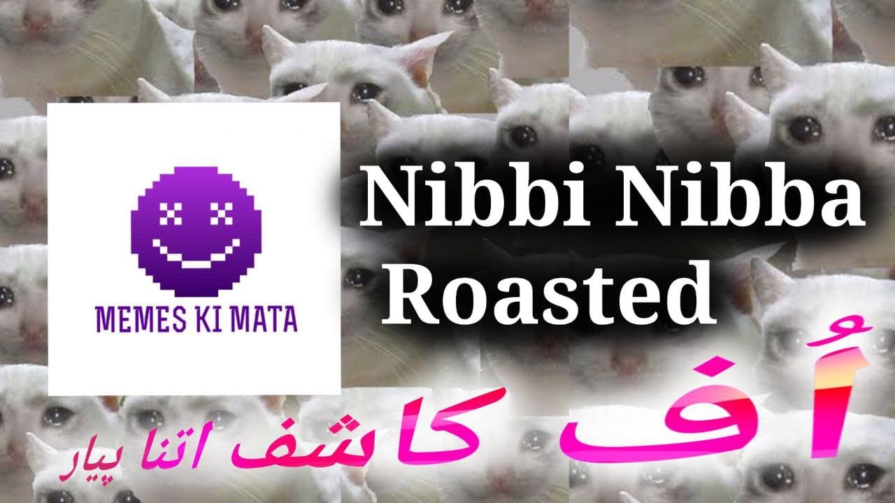 Memes Ki Mata | Mimicry | Memes | Roasting | Nibba and Nibbi Special ...