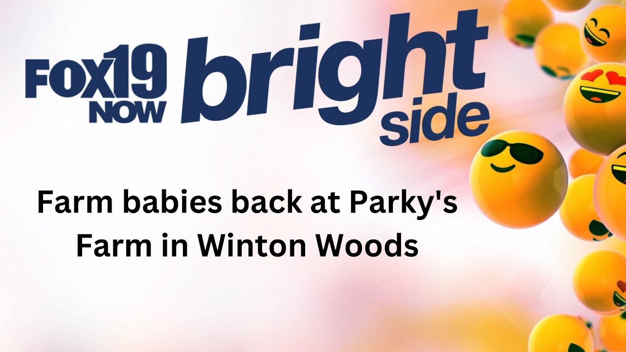 Meet some baby animals at Parky’s Farm in Winton Woods - YouTube