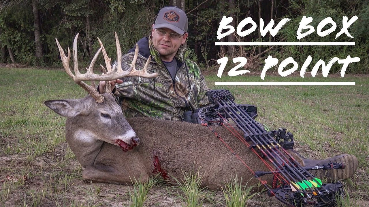 The Bow Box 12 - YouTube