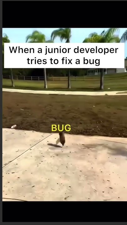 When a junior tries to fix a bug 😂 #funny #programming #reels - YouTube