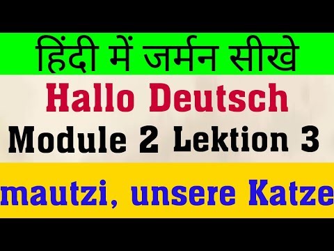 HALLO DEUTSCH | MODULE 2 - LEKTION 3 | MAUTZU, UNSERE KATZE - YouTube