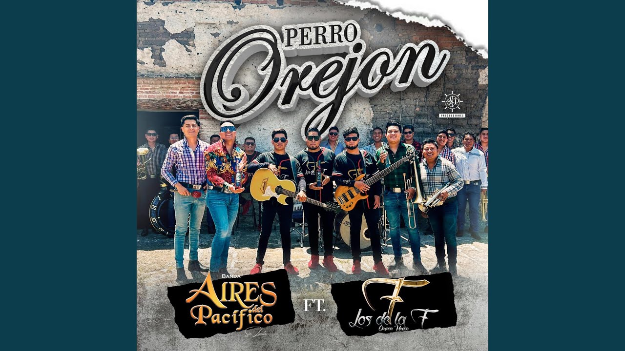 Perro Orejon - YouTube