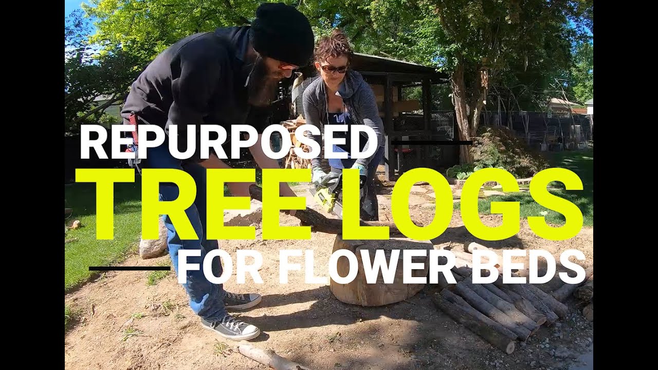 Cutting Tree Logs for Flower Beds 2019 TIMELAPSE - YouTube