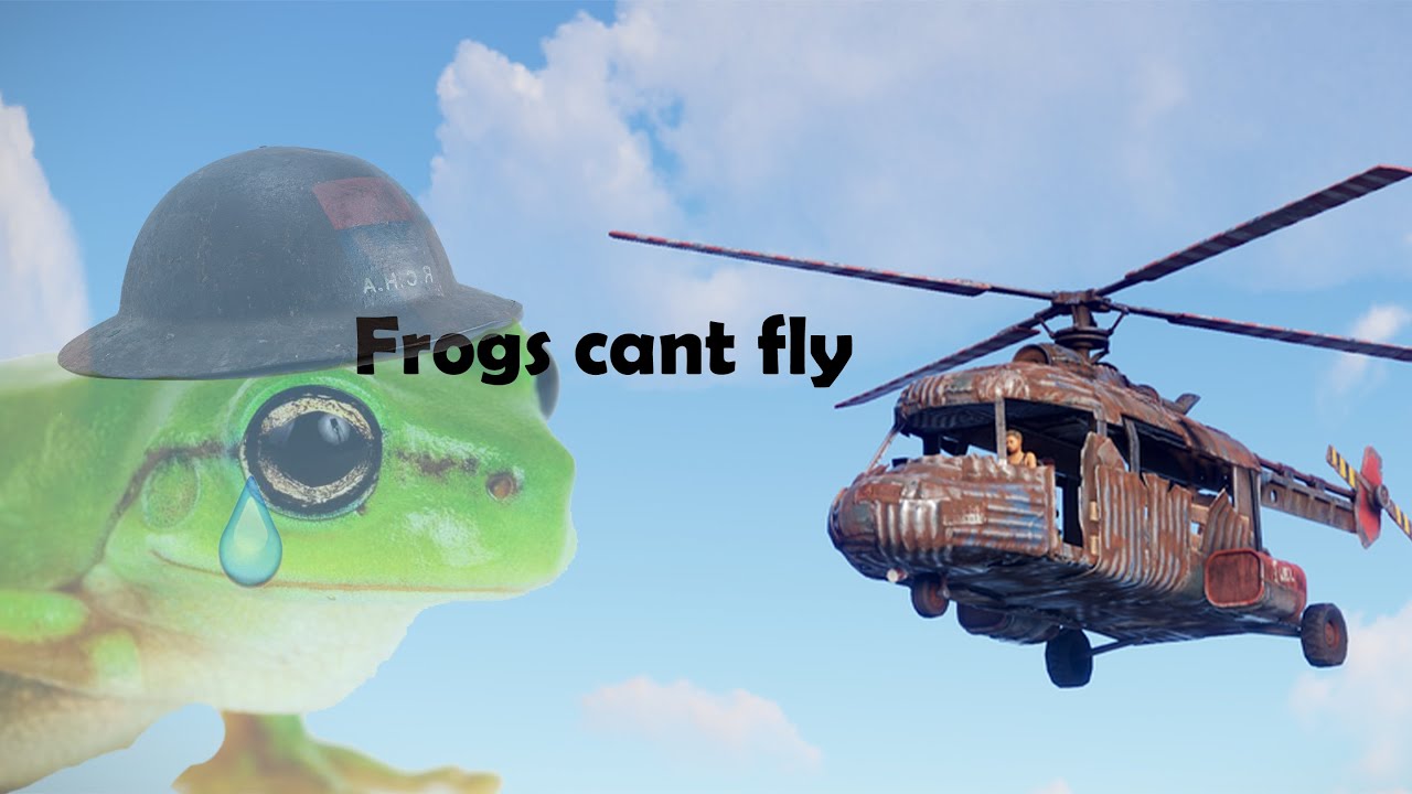 Frogs cant fly - YouTube