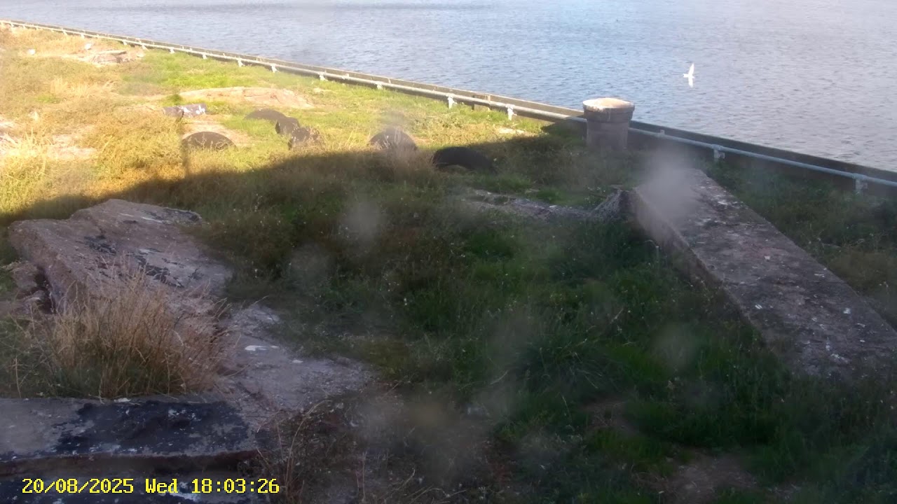Lough Neagh: Torpedo Platform🌙17/08/25 - YouTube