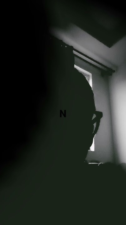 nipa zum zum zu - YouTube