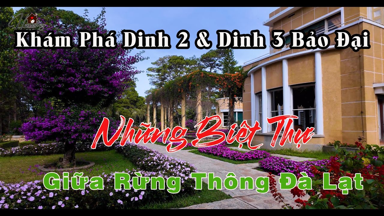 Khám Phá Dinh 2 & Dinh 3 Bảo Đại - Những Biệt Thự Giữa Rừng Thông Đà ...
