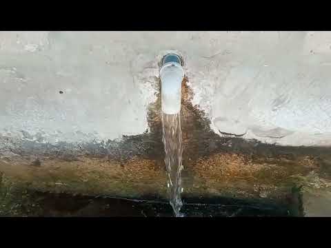 🌺 SOĞAN SÖKÜMÜ 🧅