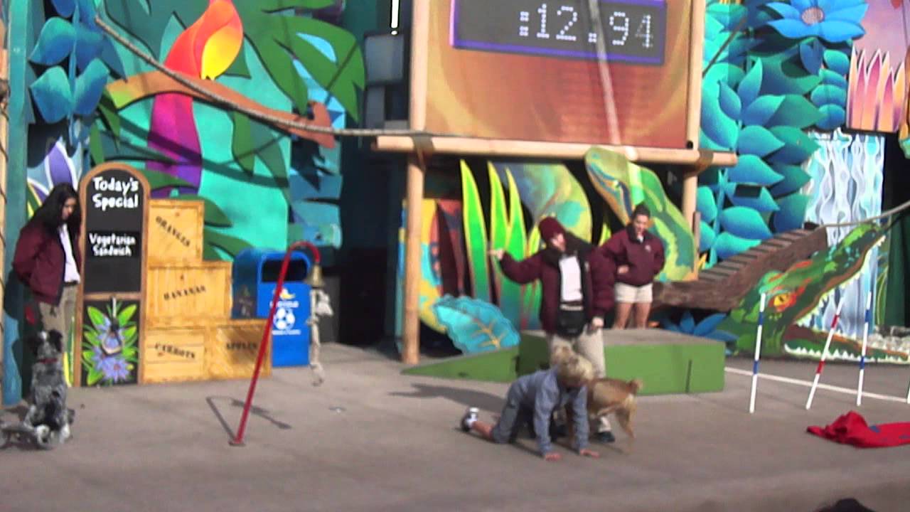 Universal Studios Hollywood "Animal Actors" Roscoe and Dusty compete ...