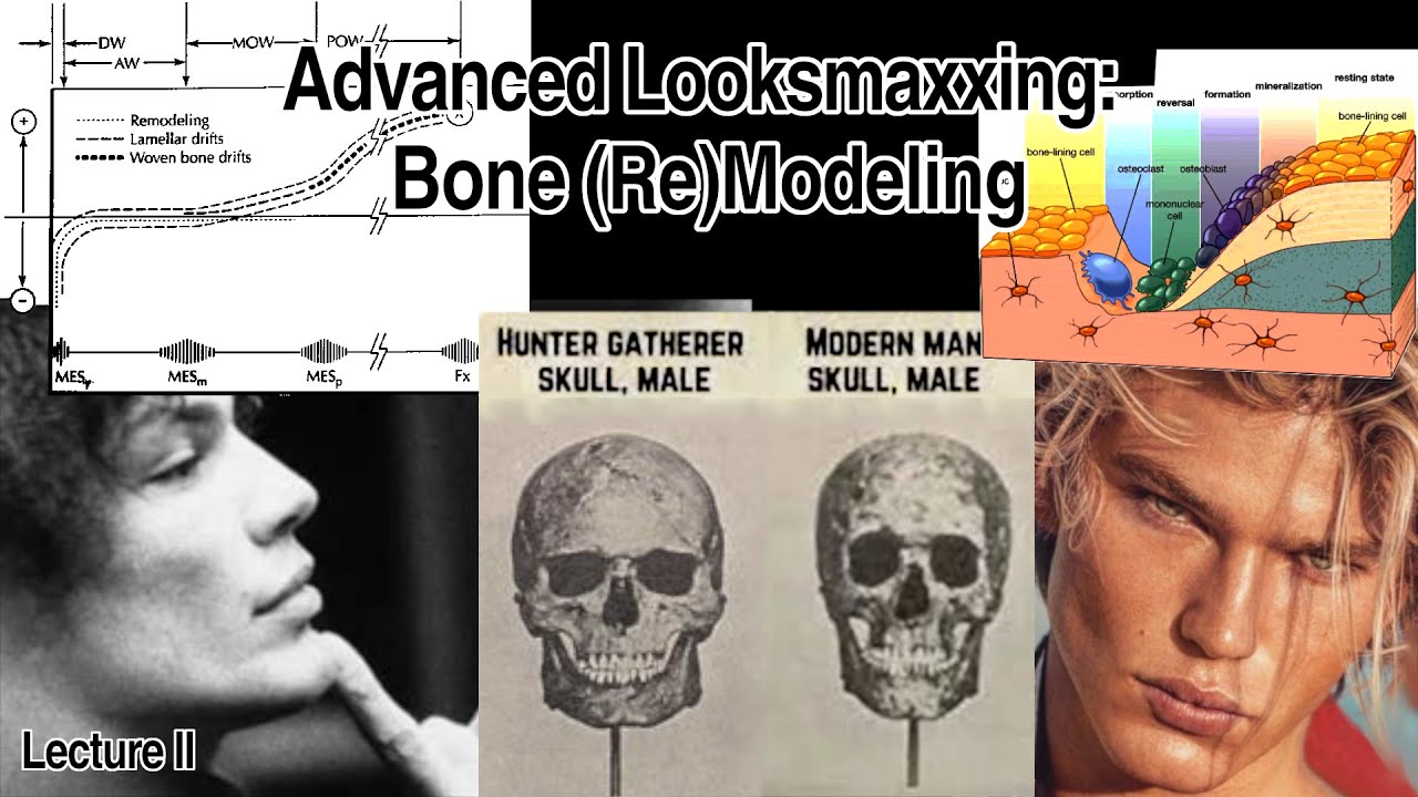 Evaluation of Bonesmashing: (Re) Modeling - YouTube