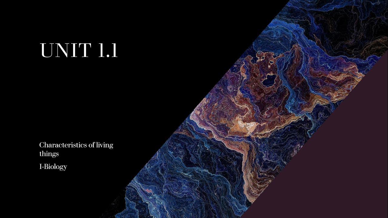 MYP Biology Unit 1.1 Summary - YouTube