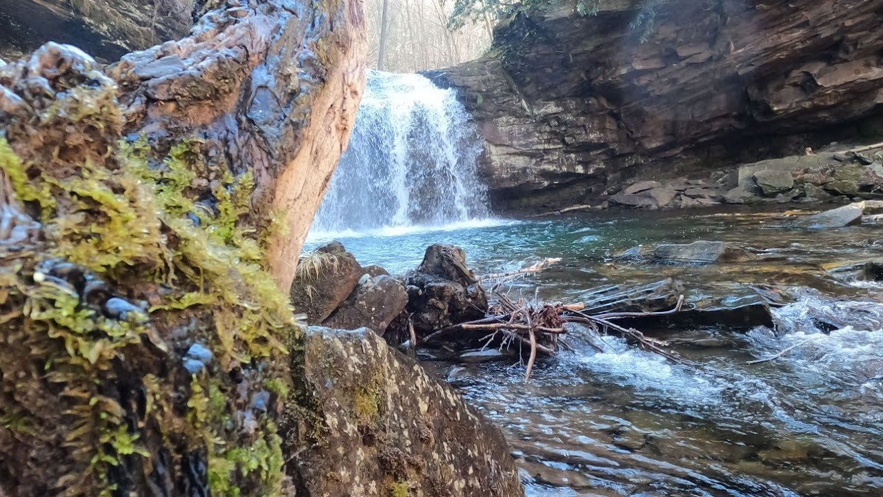 Horton Trail Seneca Creek Backcountry WV - YouTube