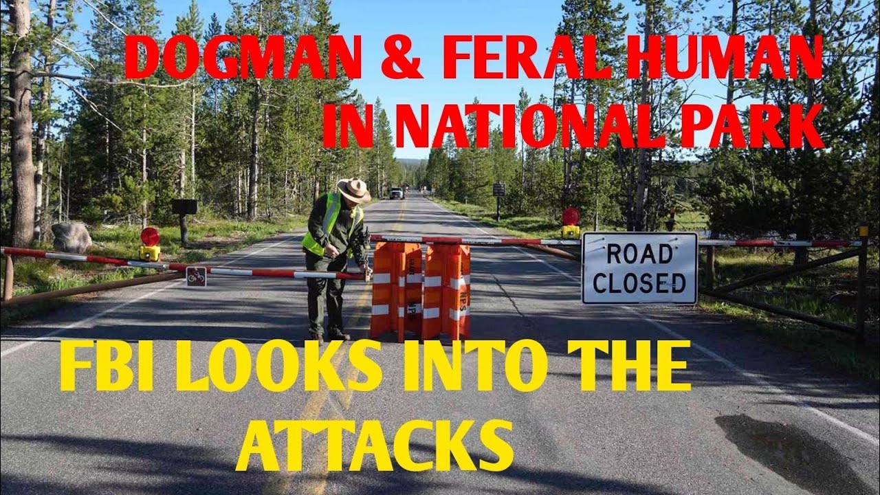 DOGMAN & FERAL HUMANS IN A NATIONAL PARK FBI LOOKED INTO THE ATTACK W ...