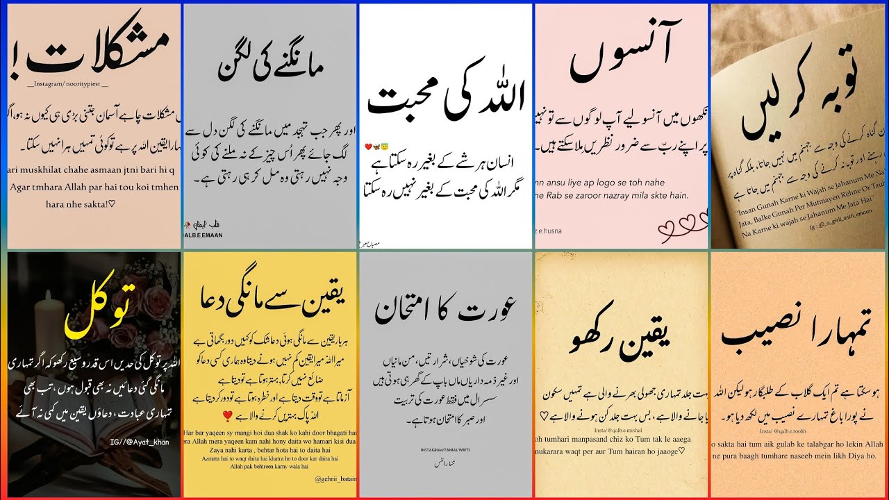 New Islamic quotes for WhatsApp status | Islamic video | golden words ...