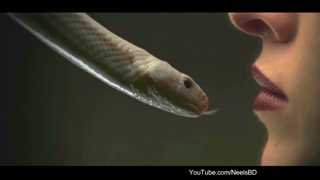 Real Snake in Mouth ! Most Venomous Snake - YouTube