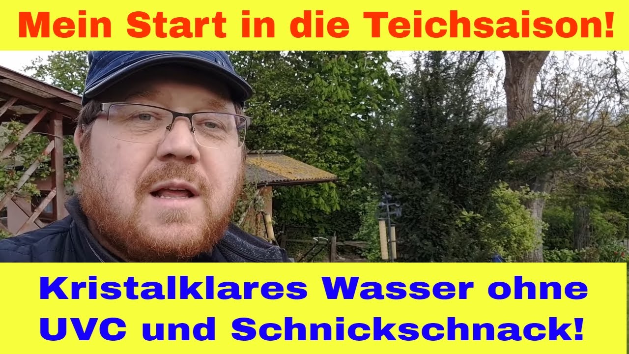 Start in die Teichsaison 2024 - Klares Wasser im Teich ohne UVC auch im 4. Jahr? - YouTube