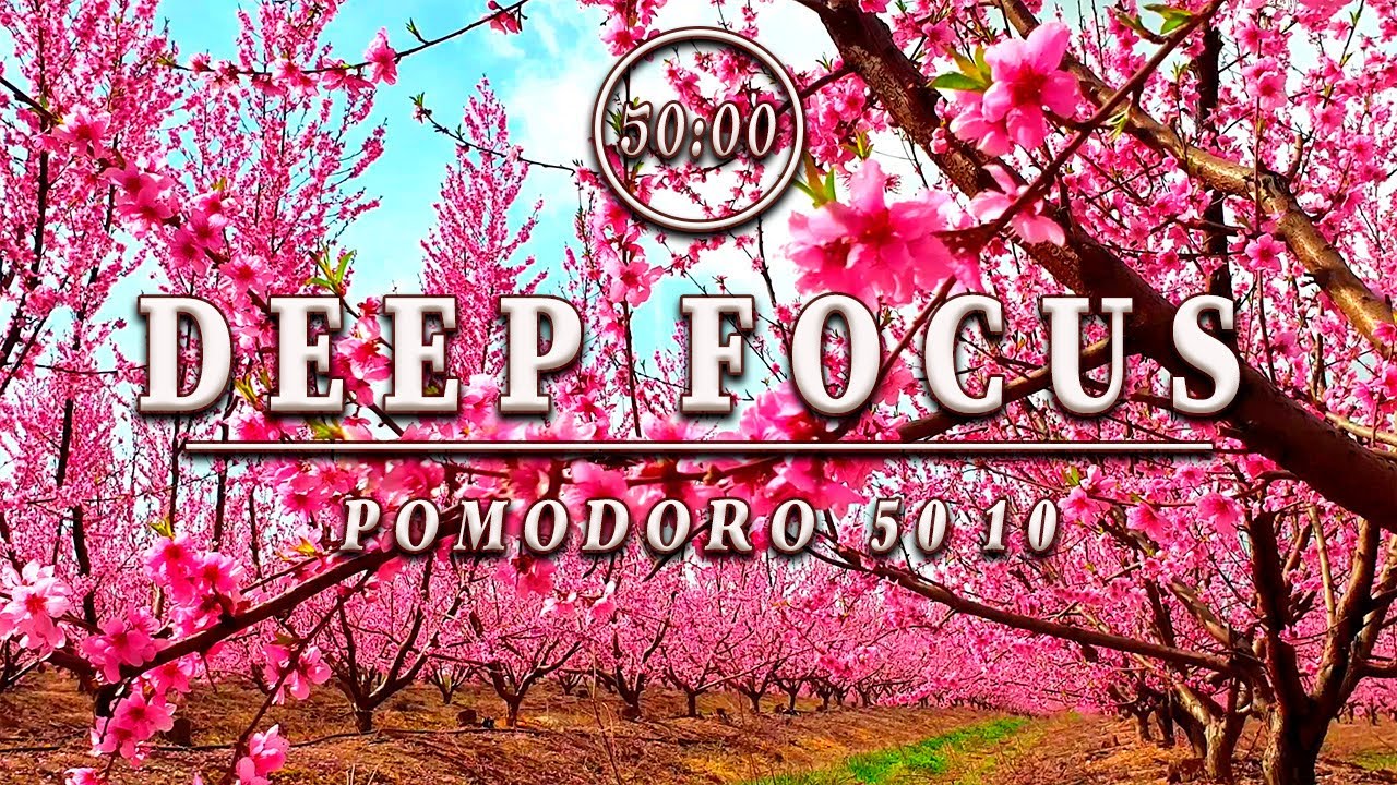 3-HOUR STUDY AMBIENCE 📖🌺 FRESH MORNING SPRING SOUNDS🕒DEEP FOCUS ...