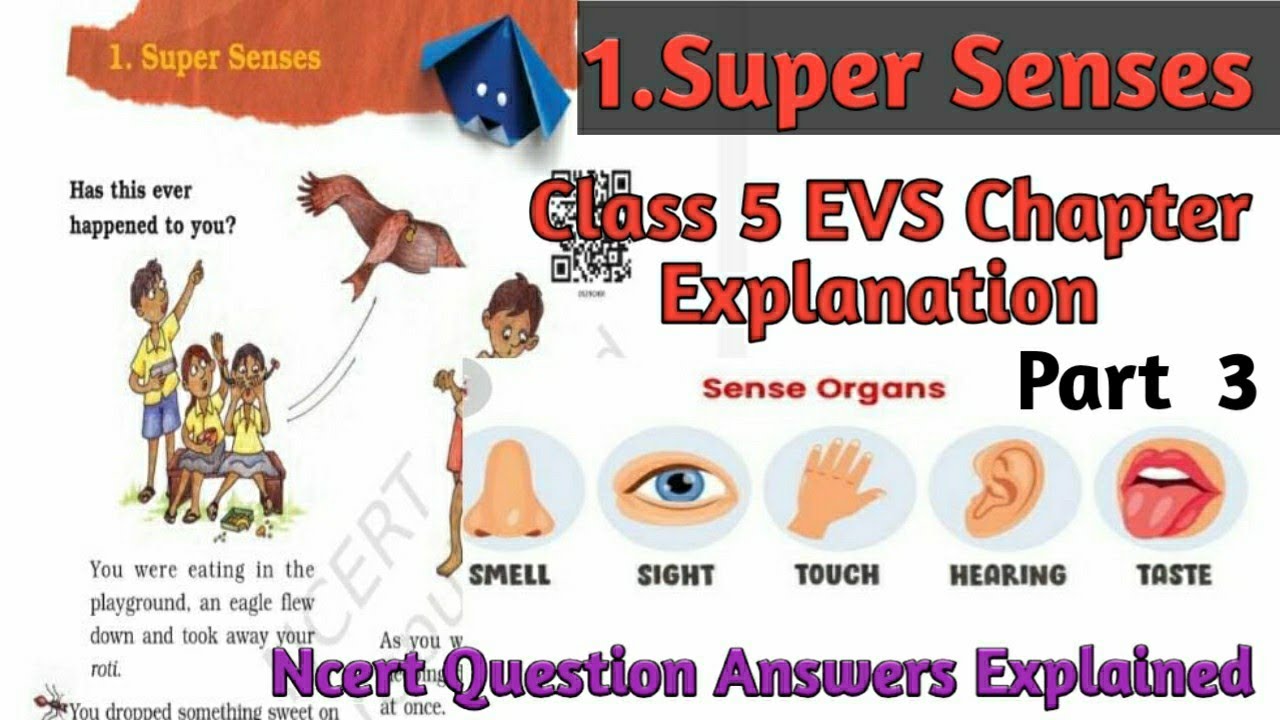 Super Senses Class 5 EVS Chapter 1 Page 9 to 13 | Explained with ...