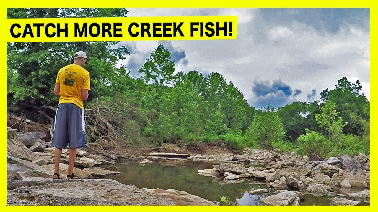 CREEK BASS FISHING - How to find and catch more fish in creeks! - YouTube